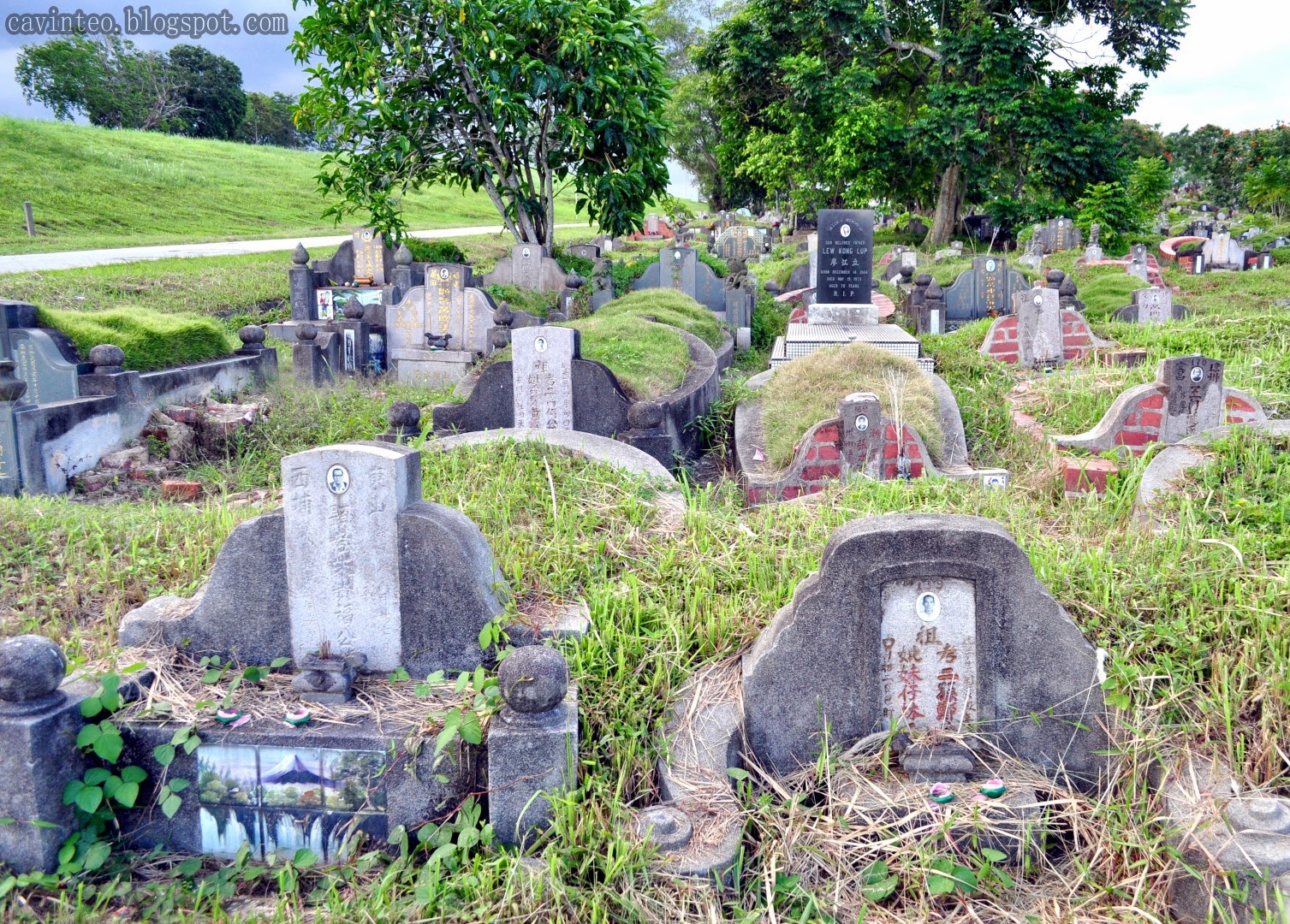 Entree Kibbles: Block 3D [1973-1983] @ Choa Chu Kang Chinese Cemetery